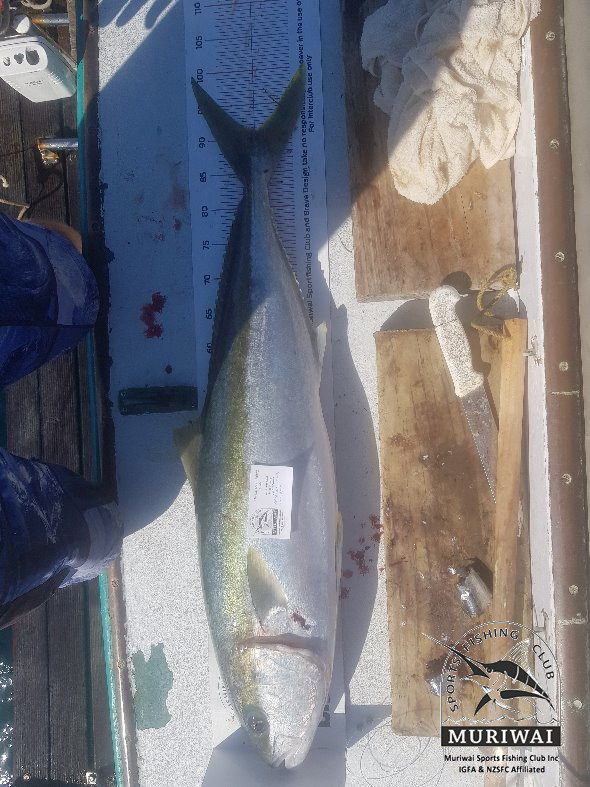 MSFC Catch - 2020-01-11