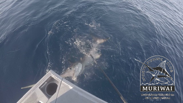 MSFC Catch - 2021-02-21